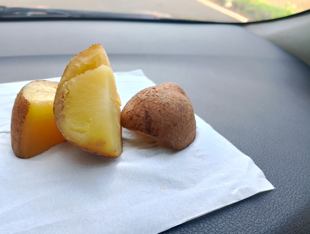 21 Ways on How to Starve Bad Gut Bacteria - BELLY BLISS BELLE